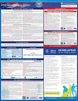 Printable Federal Employee Right under the National Labor Relations ...